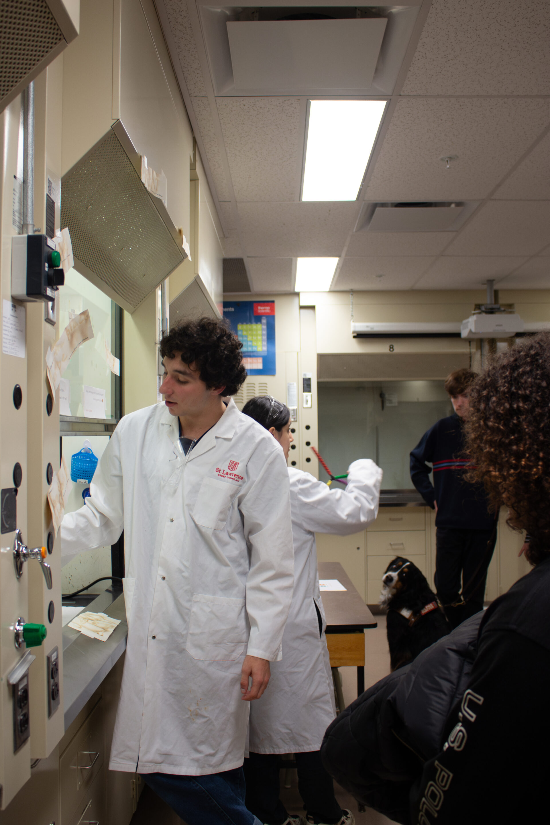 Sciences de la nature | Cegep Champlain - St. Lawrence