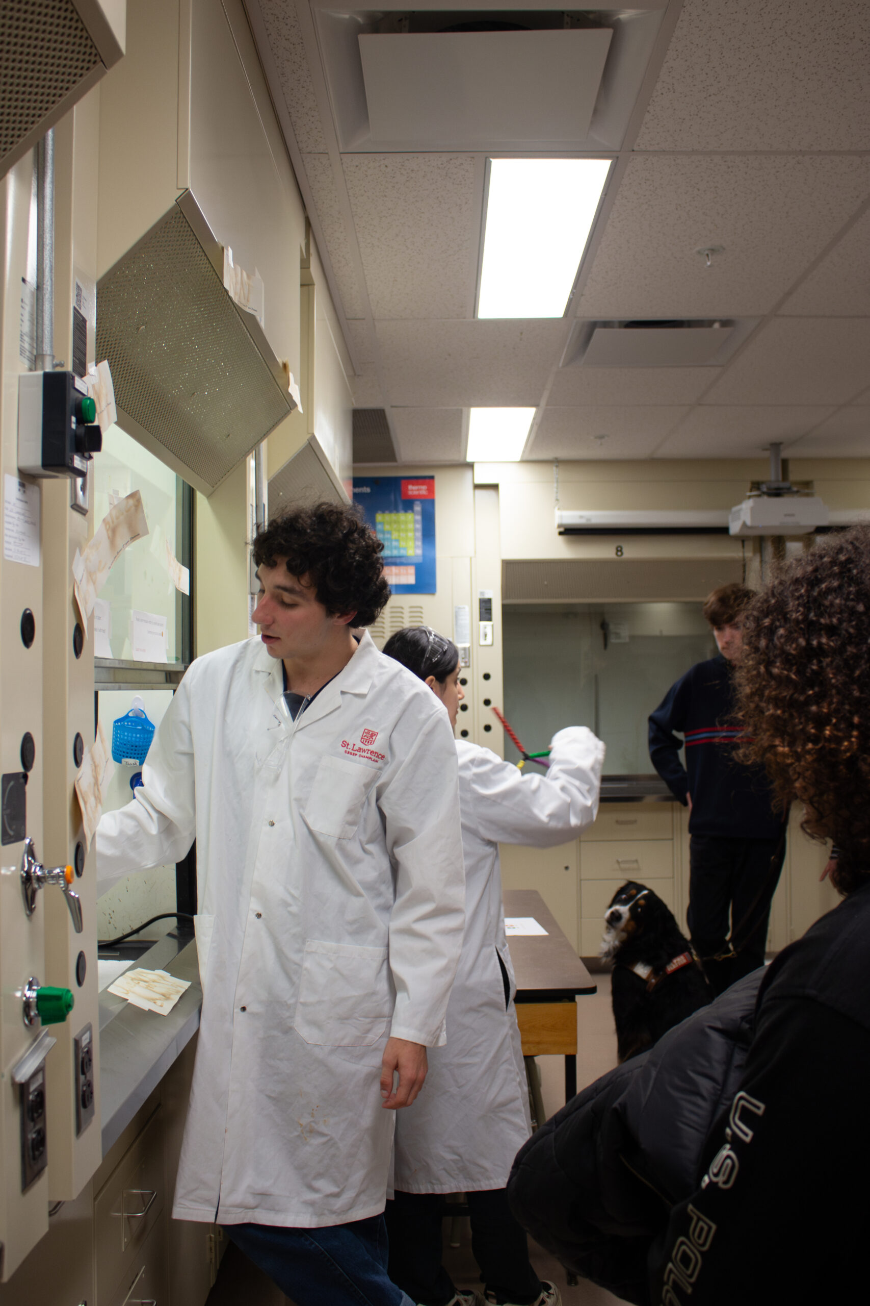 Sciences de la nature | Cegep Champlain - St. Lawrence